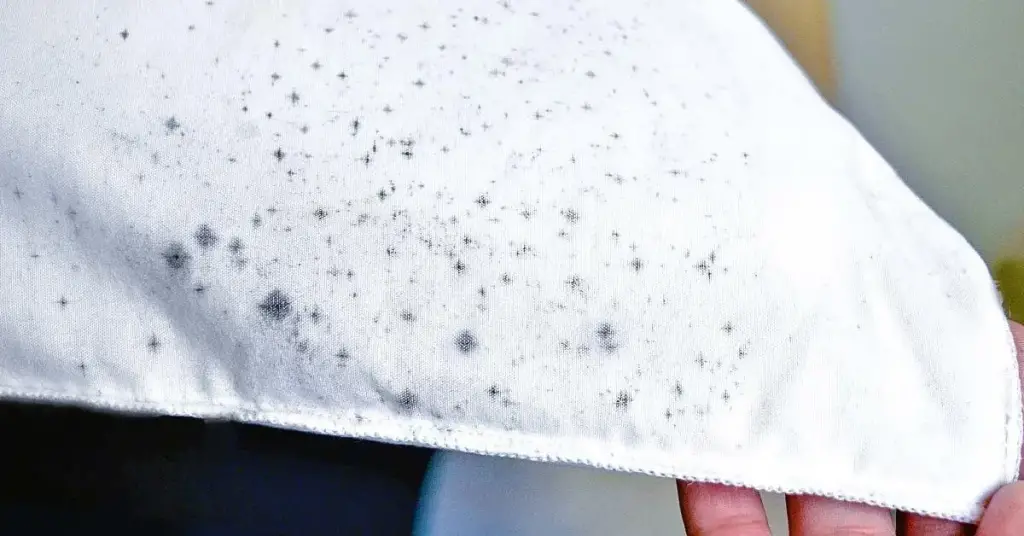 ¿Cómo quitar las manchas de moho de la ropa de forma natural? – Trucos ...