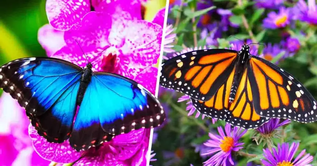 7 plantas para atraer mariposas y transformar tu jardín – Trucos Para Casa